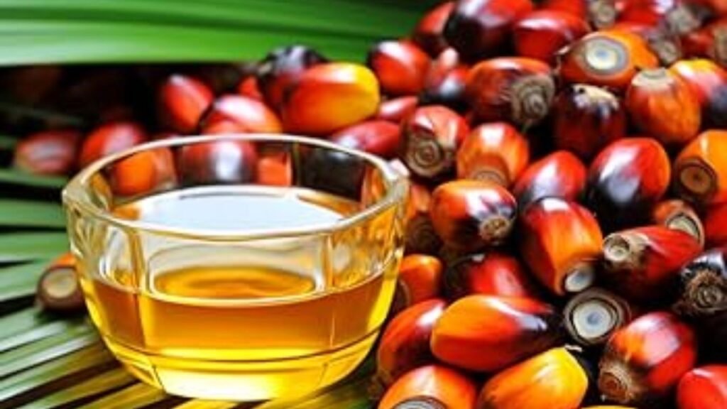 Discover the Wonders of Batana Oil for Hair & Skin